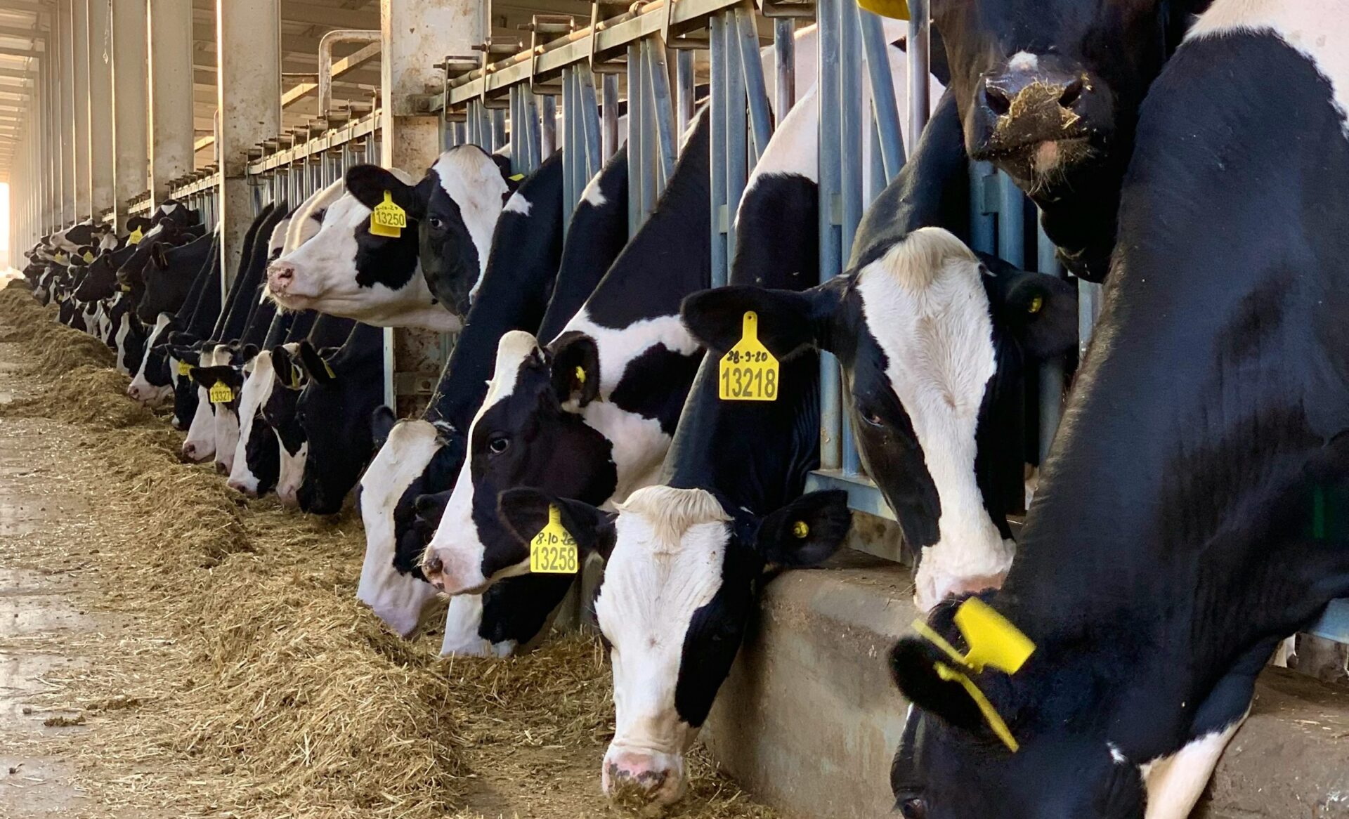 Some wins on drought taskforce, but big challenges remain – Rural ...